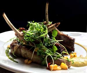 BOLD Restaurant, Kalamazoo, Fine Dining, Catering, Southwest Michigan